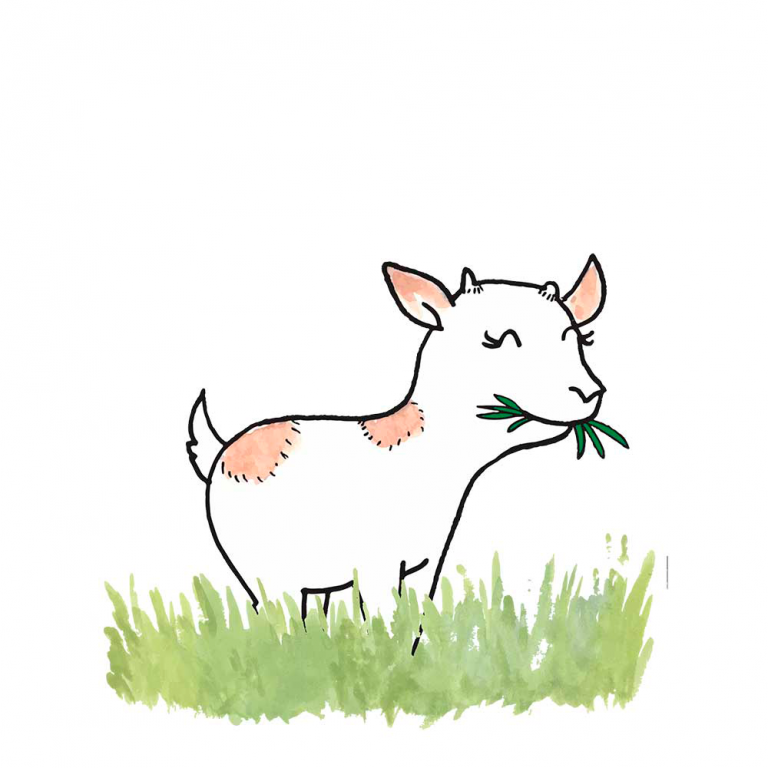 la-cabrita-9 – Cuentos infantiles